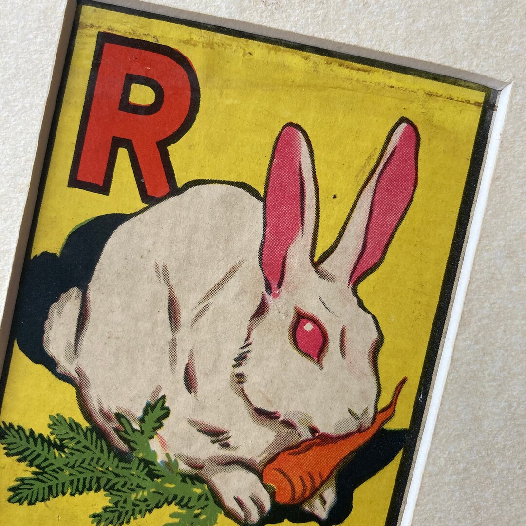 Vintage Rabbit R is for Rabbit Book Plate Illustration With Matte for ...