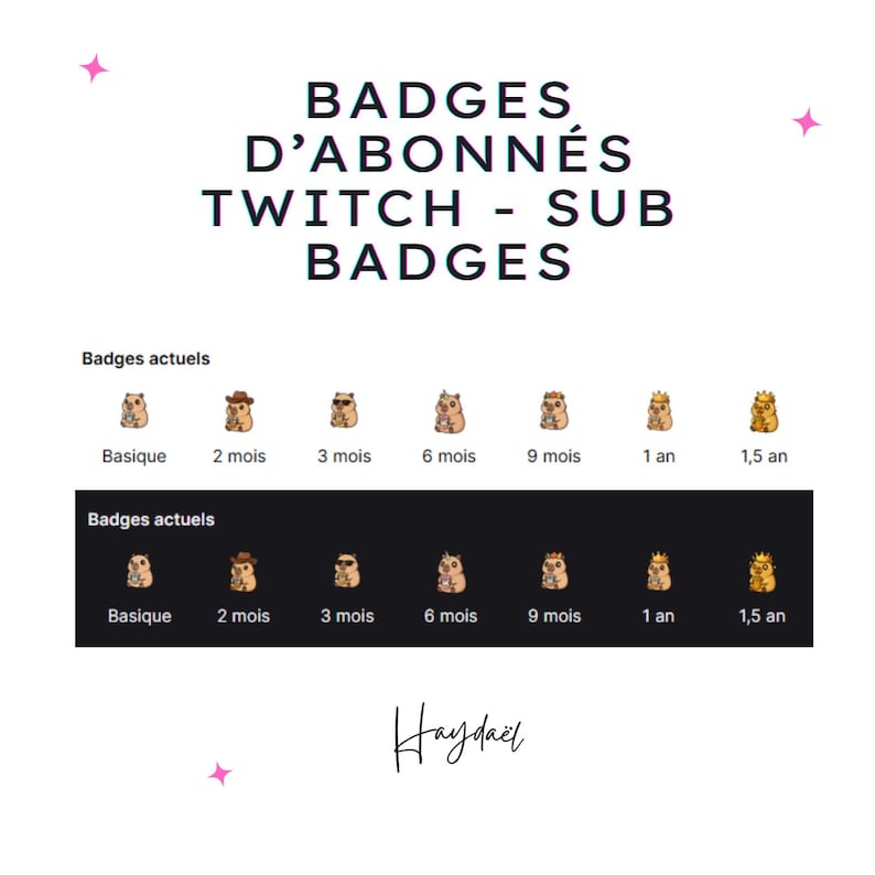 Twitch Subscriber Badges Capybara Kawaii / SUB Badges in Formats 18x18 ...