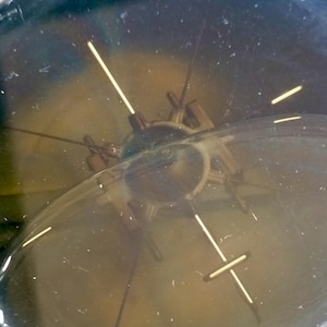WWII RAF Air Ministry Liquid-filled Compass | Mark IIA Course Setting ...