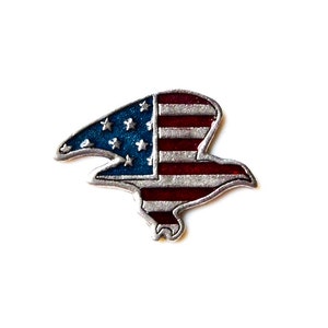 American Eagle Lapel Pin Express Yourself - Etsy