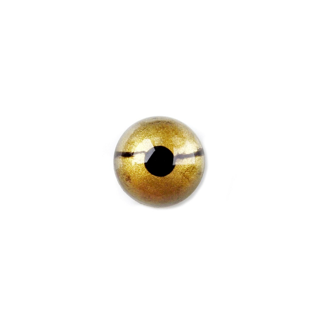 Taxidermy Reptile Eye Lapel Pin Express Yourself - Etsy