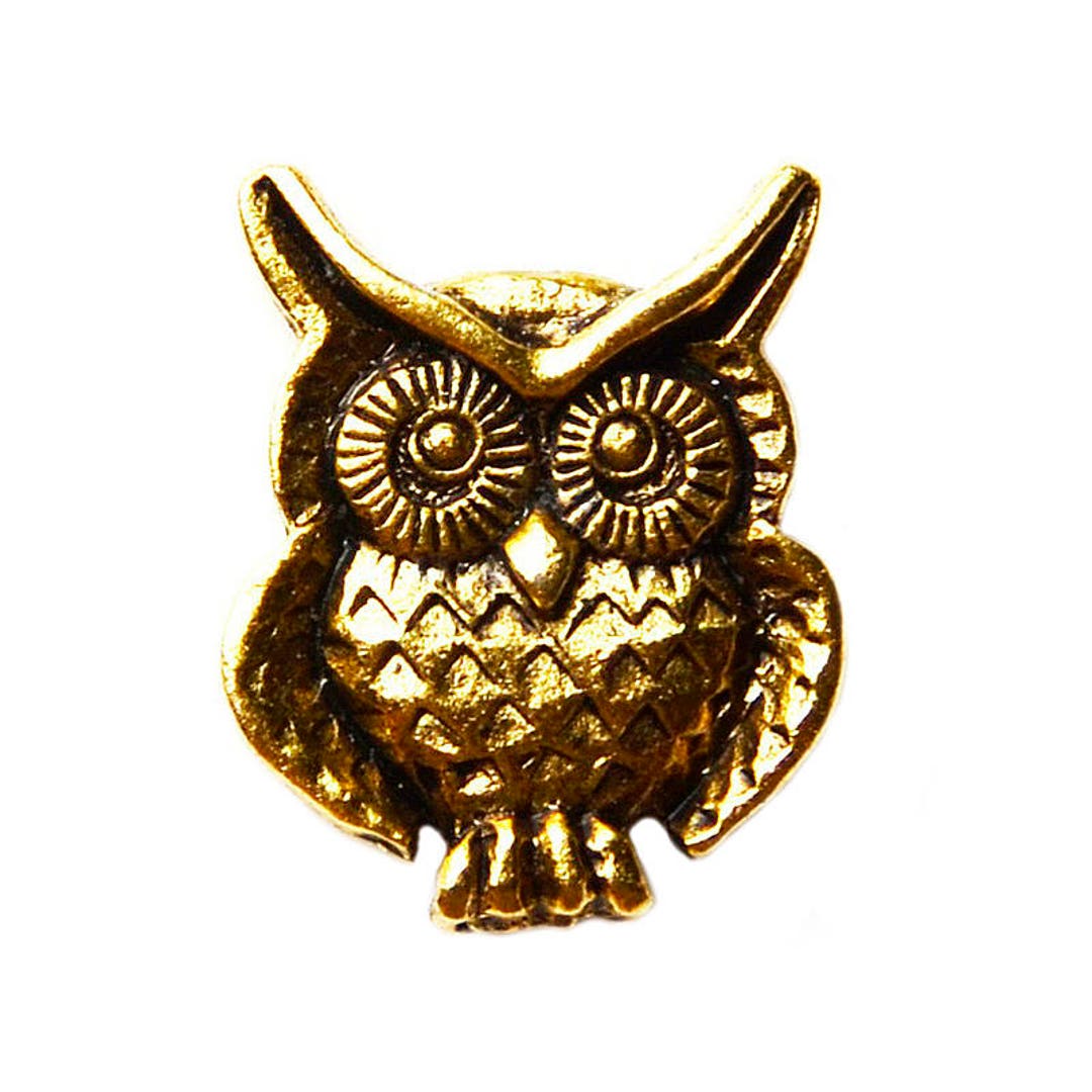 Owl Lapel Pin Express Yourself - Etsy