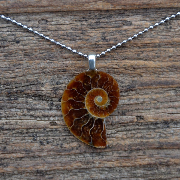 Ammonite Pendant - Etsy