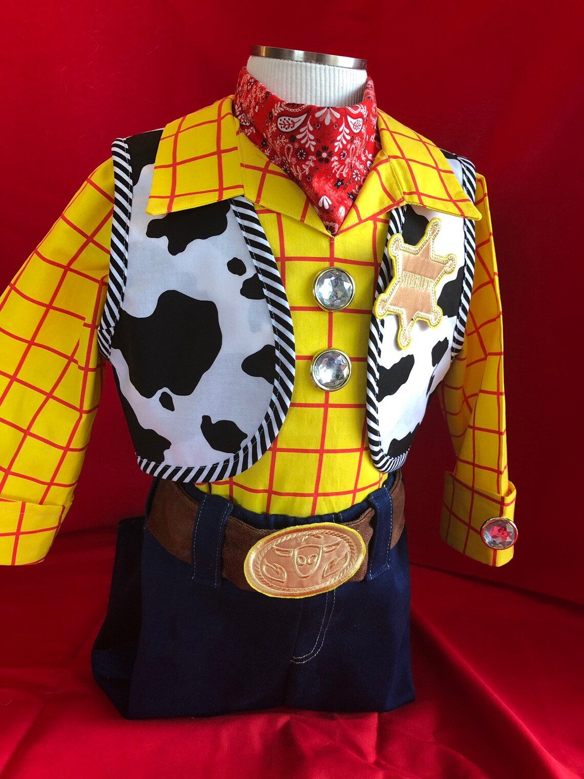 Toy Story Woody Costume 6 Piece Outfit Sheriff Woody Cowboy Size 2T to ...