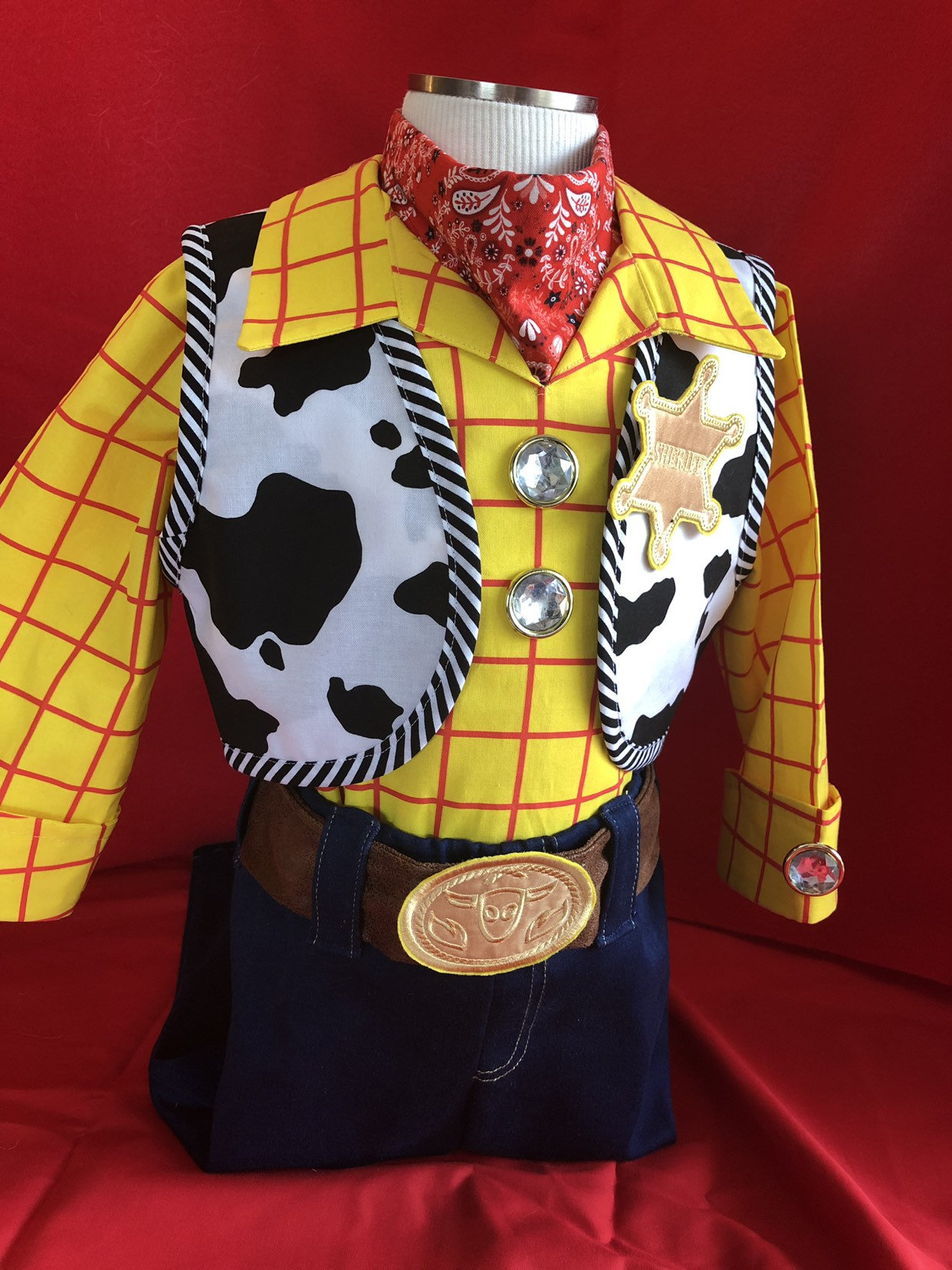 Toy Story Woody Costume 6 Piece Outfit Sheriff Woody Cowboy Size 2T to ...