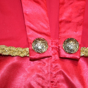 Adult Circus Ringmaster Tailcoat Jacket Costume - New Years, Photo Prop ...