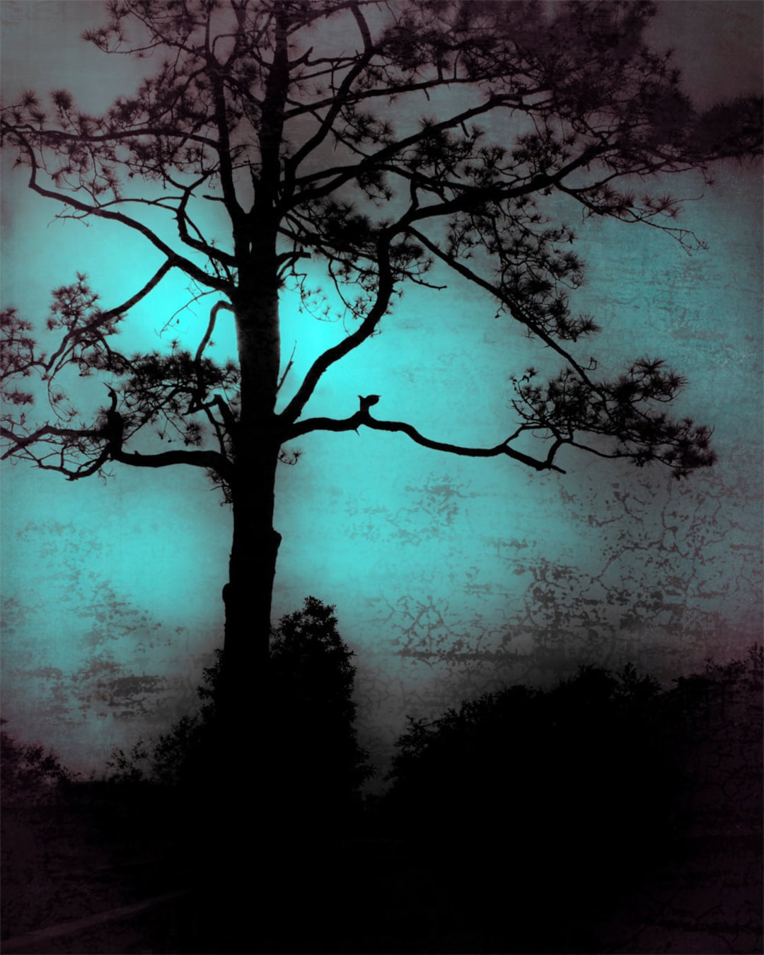Moody Blue Tree Silhouette Fine Art Photography Print - Etsy
