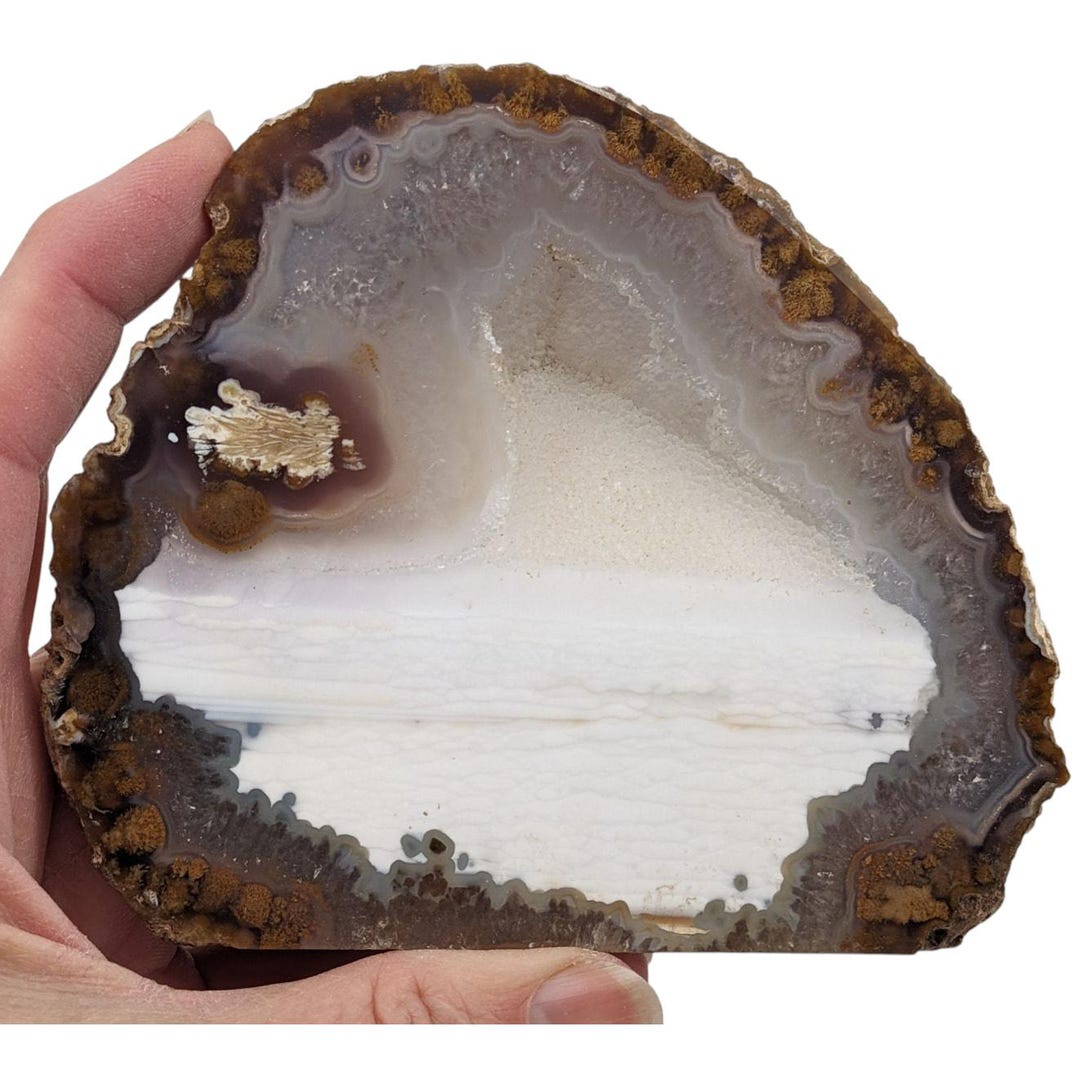15 Oz Vintage Polished Agate Rock Slice Geode Thunderegg Crystal Cave ...