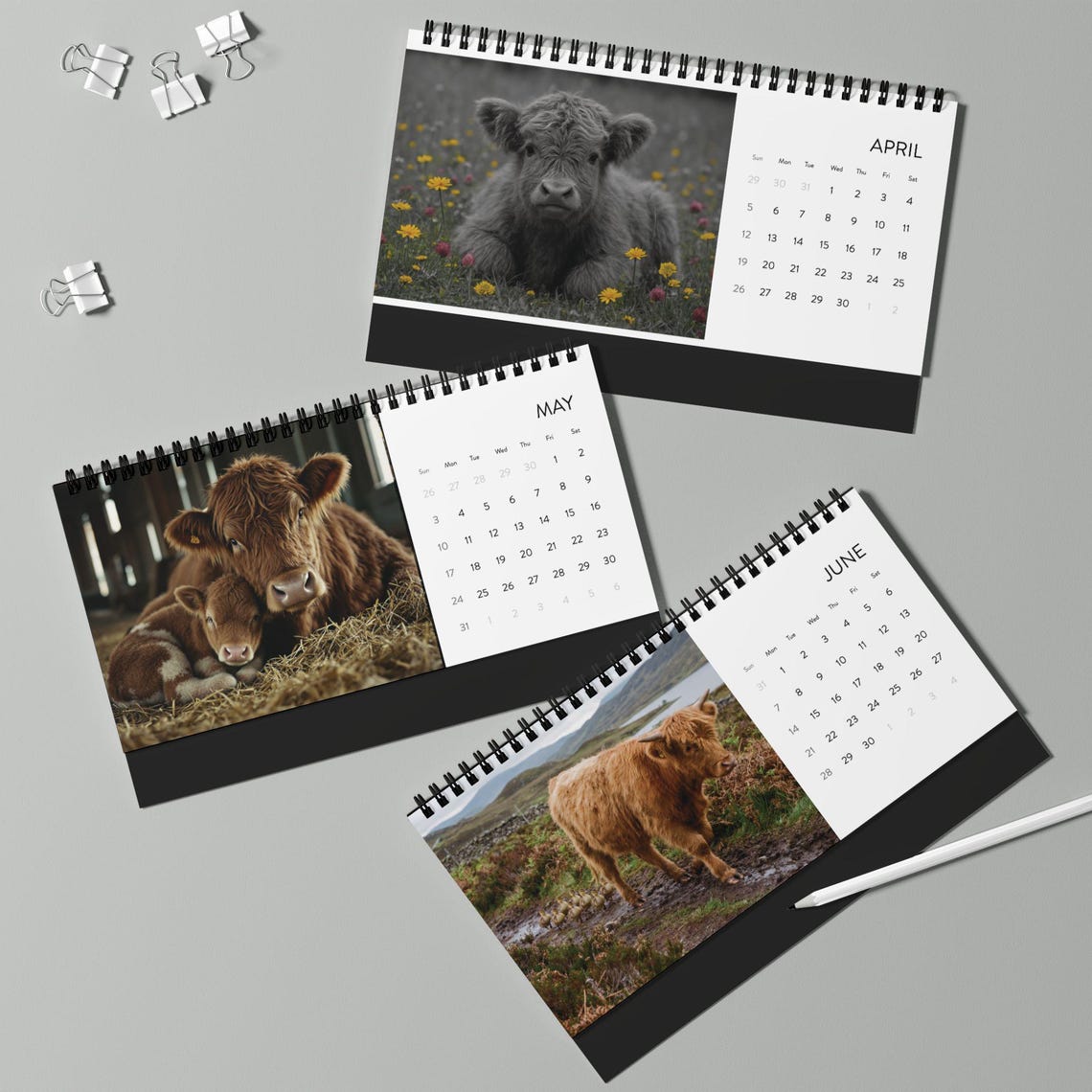 Highland Cows 2026 Desktop Calendar | Desk Planner, Monthly Grid - Etsy