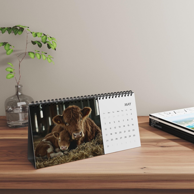 Highland Cows 2026 Desktop Calendar | Desk Planner, Monthly Grid - Etsy