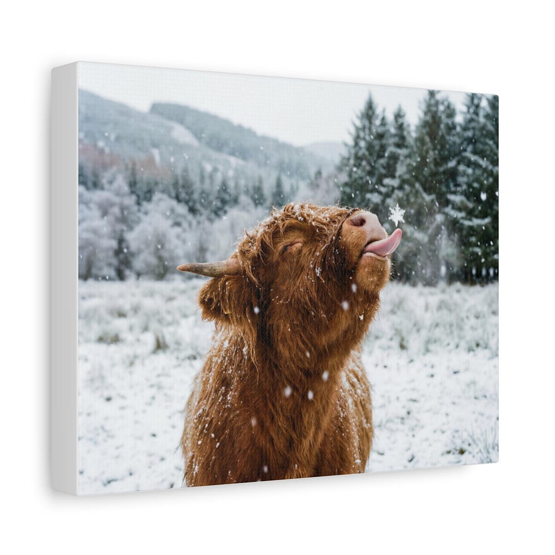 Highland Cow Catching Snowflake Matte Canvas - Etsy
