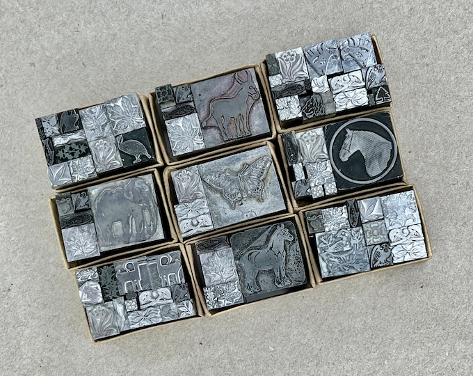 Vintage Letterpress Type Collections Featuring Flora & Fauna for ...