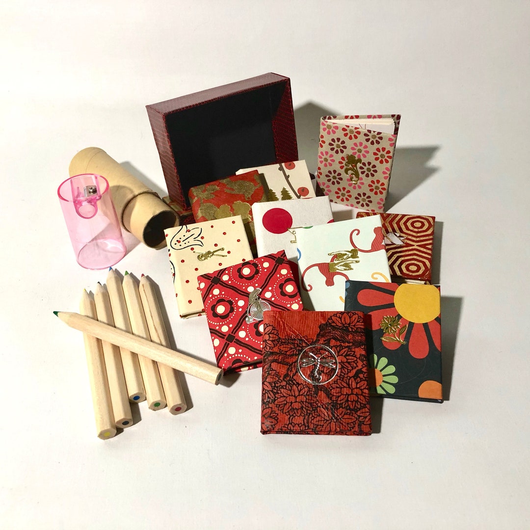 Mini Library 10 Tiny Blank Books in a Tiny Bookcase for Journaling ...