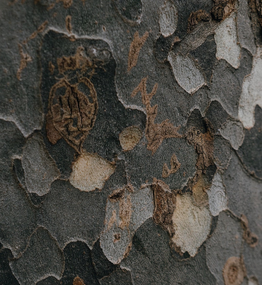 Rust Fragrance Oil for Men, Orange Citrus Clove Dirt Cologne - Etsy