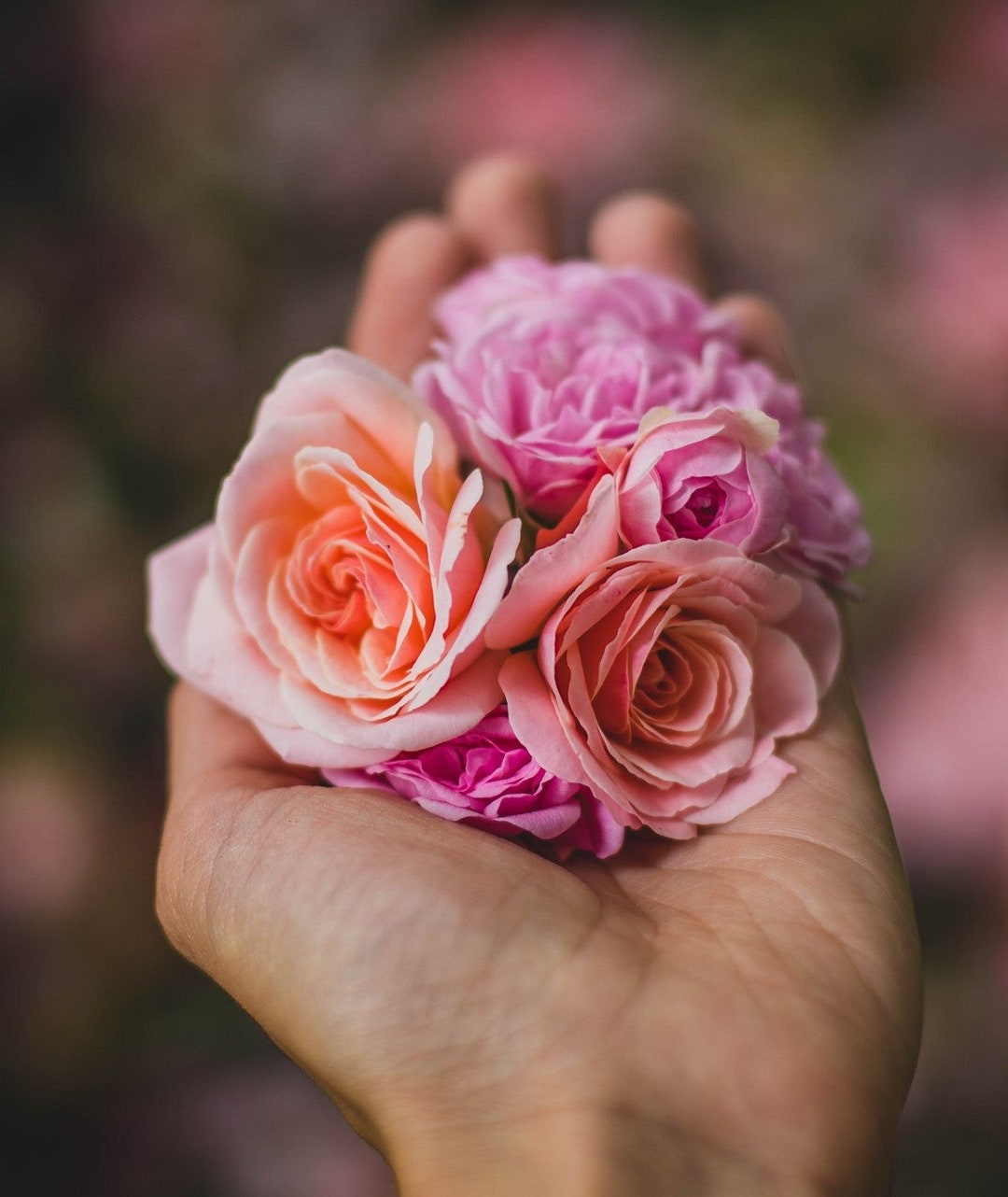 Corazón Y Flor Perfume Oil, Roll on Perfume, Flowerbomb, Flower, Bomb ...