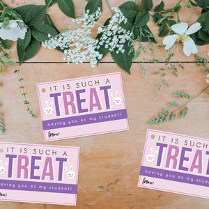 Such A Treat Having You as A Student Easter Tags, From Teacher Happy ...