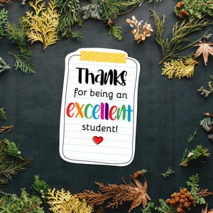 Student Appreciation Printable Tag, Graduation Gift, Excellent Student ...