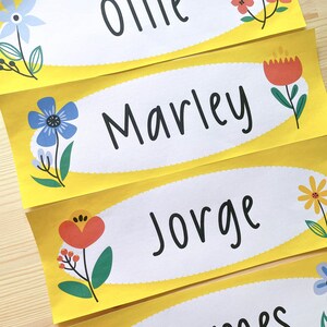Editable Bright Fun Student Desk Plates, Classroom Labels Student Name ...