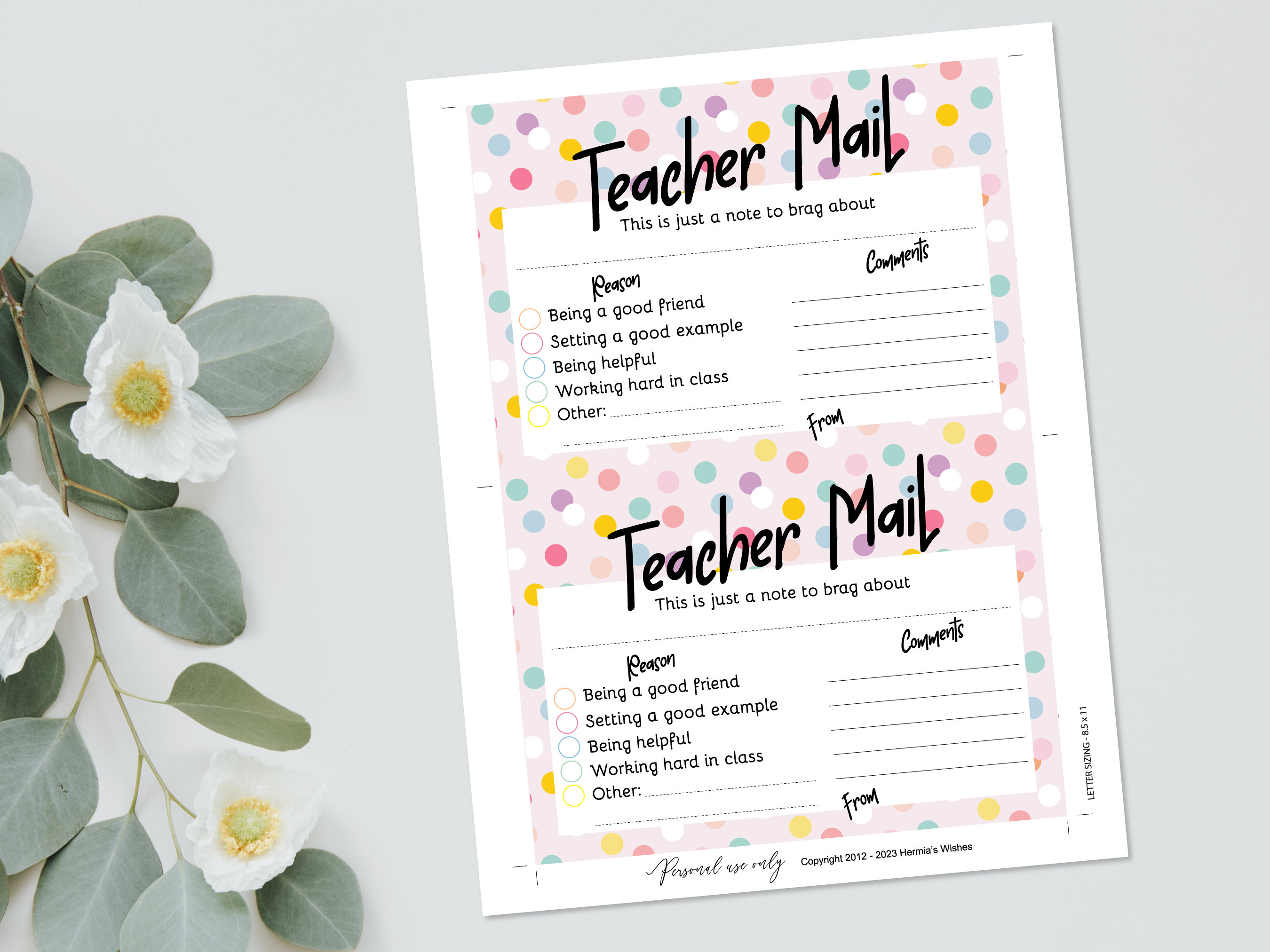 Teacher Mail, Note From the Teacher, Teacher Report, Teacher Brag ...