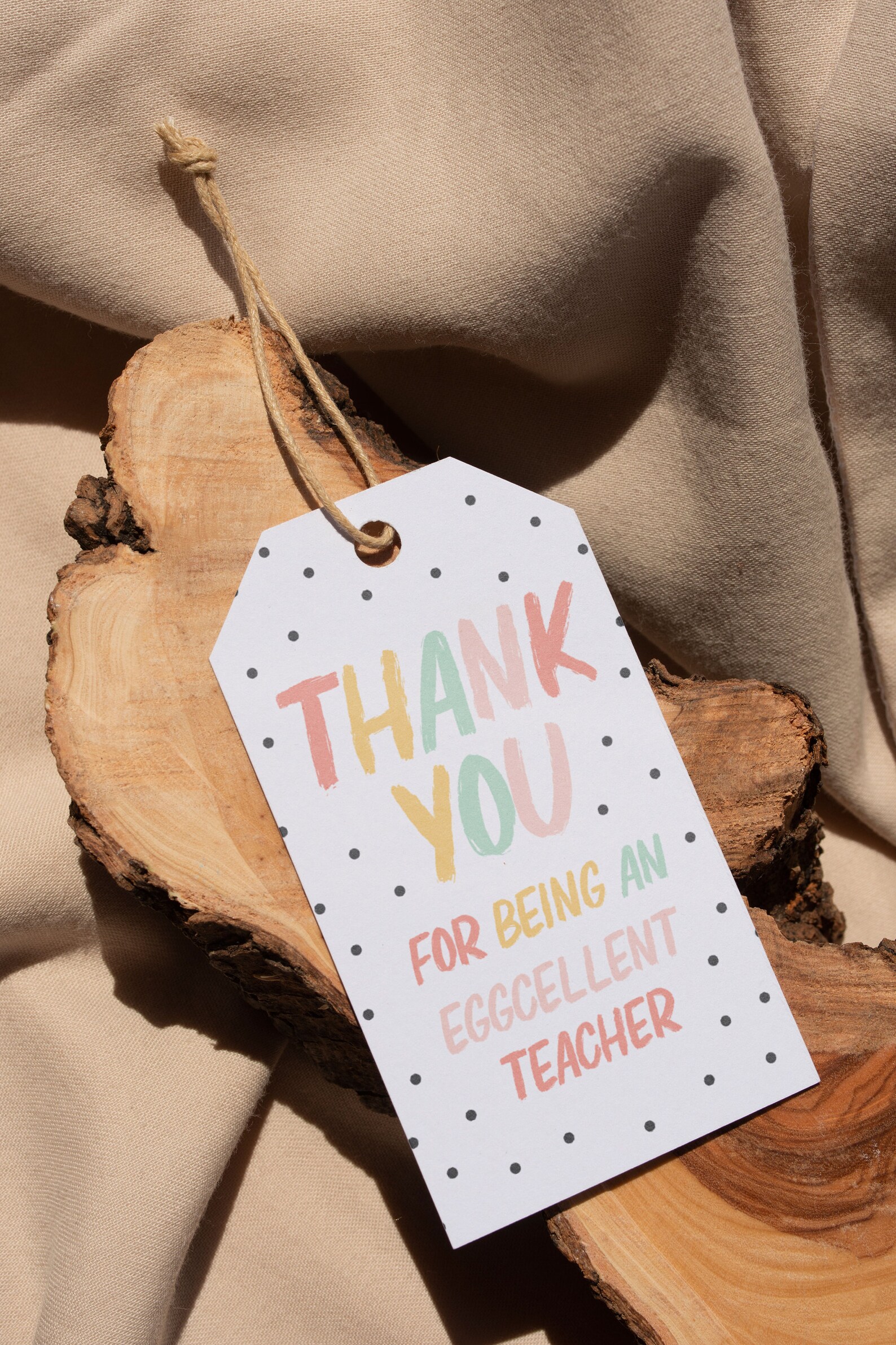 Thanks for Being an Eggcellent Teacher Easter Tags From - Etsy