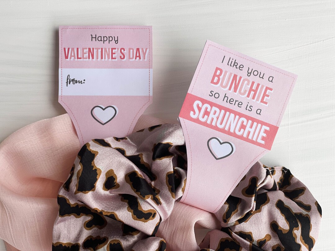 I Like You A Bunchie so Here is A Scrunchie Teen Valentine's Day, Tween ...