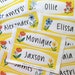 Editable Bright Fun Student Desk Plates, Classroom Labels Student Name ...