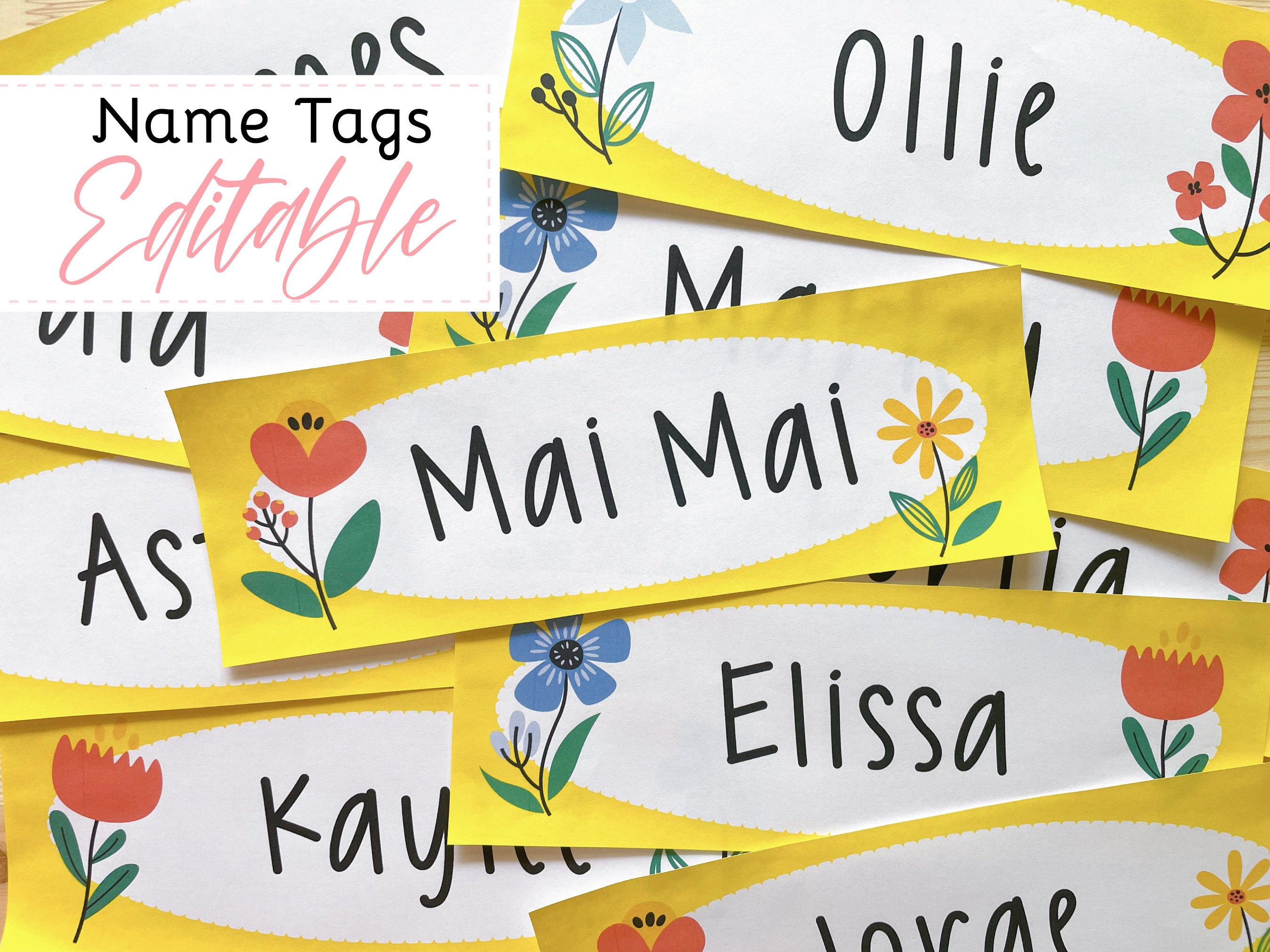 Editable Bright Fun Student Desk Plates, Classroom Labels Student Name ...