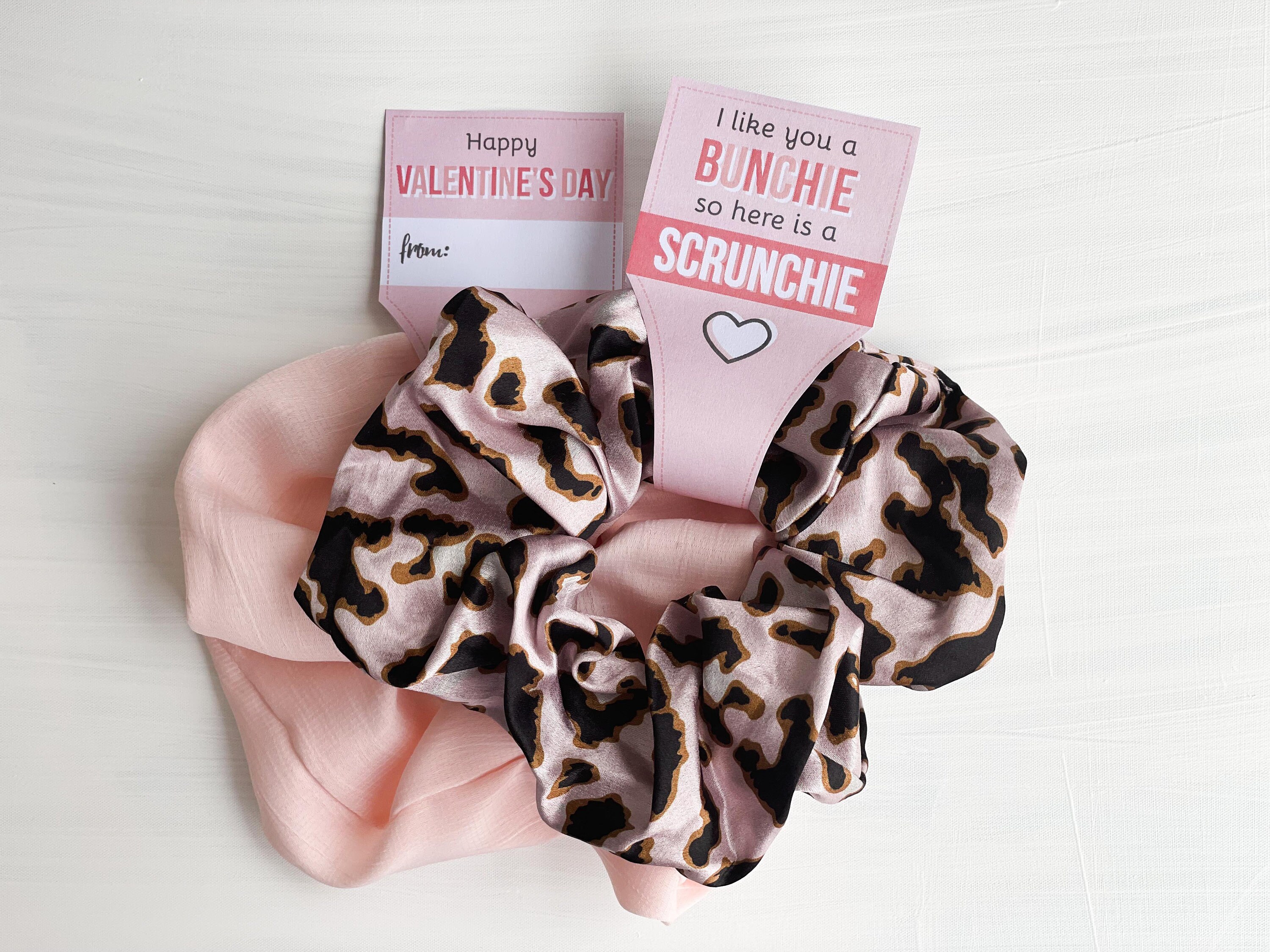I Like You A Bunchie so Here is A Scrunchie Teen Valentine's Day, Tween ...