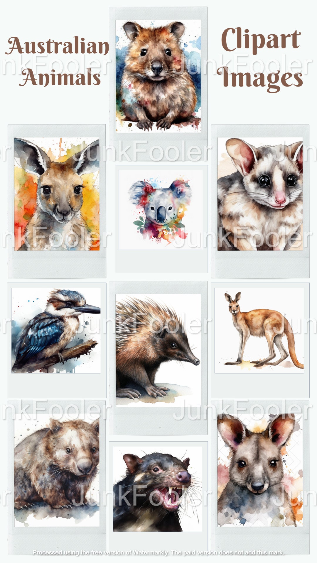 12 Australian Animals Watercolor Clipart, Jpgs, Digital Crafting, Paper ...