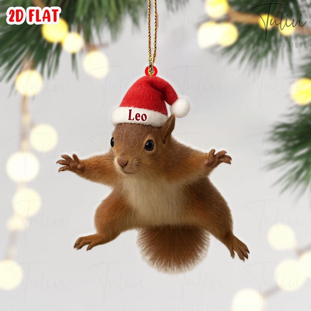 Personalized Squirrel 2D Acrylic Ornament, Squirrel Lover, Christmas ...