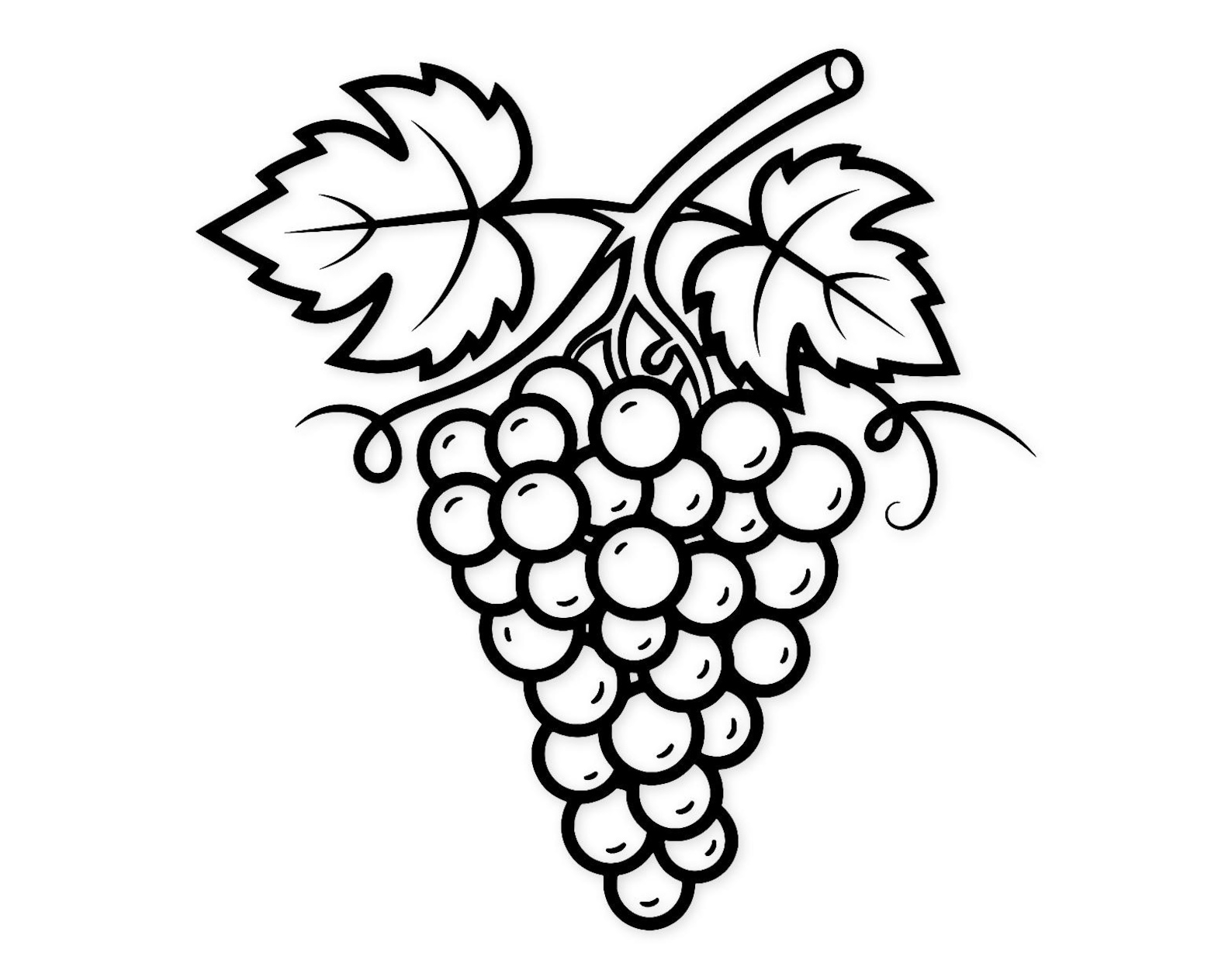 Grapes Cluster Svg Png: Cut Ready Digital Design for Cricut Silhouette ...
