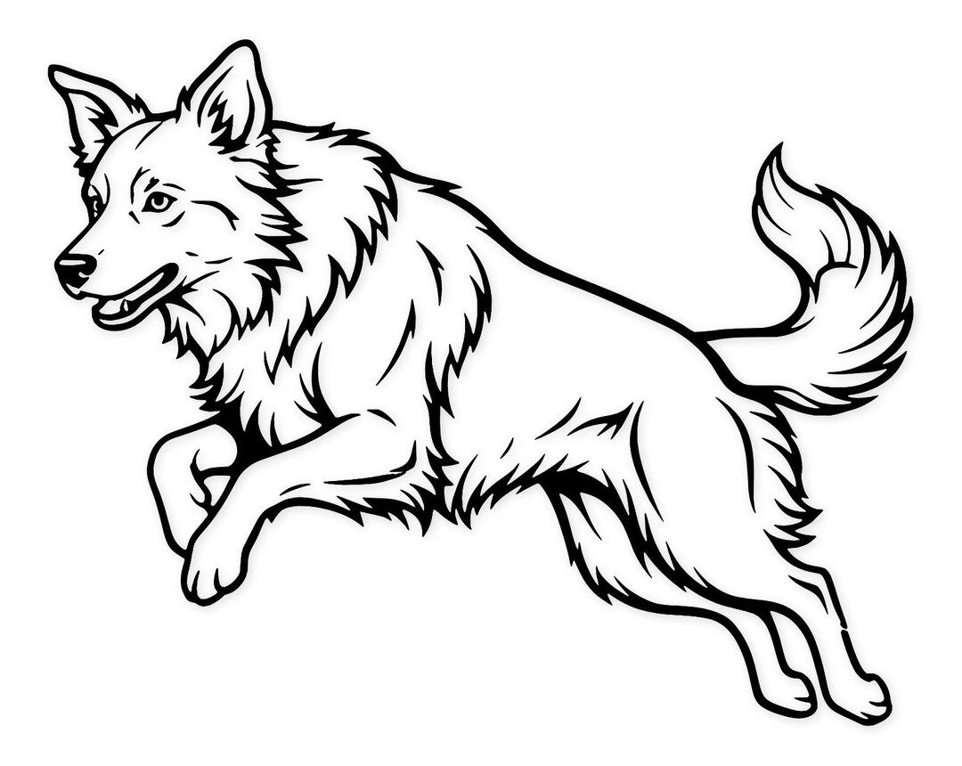 Border Collie Agility Svg Png: Bold Outline for Cricut Projects - Etsy