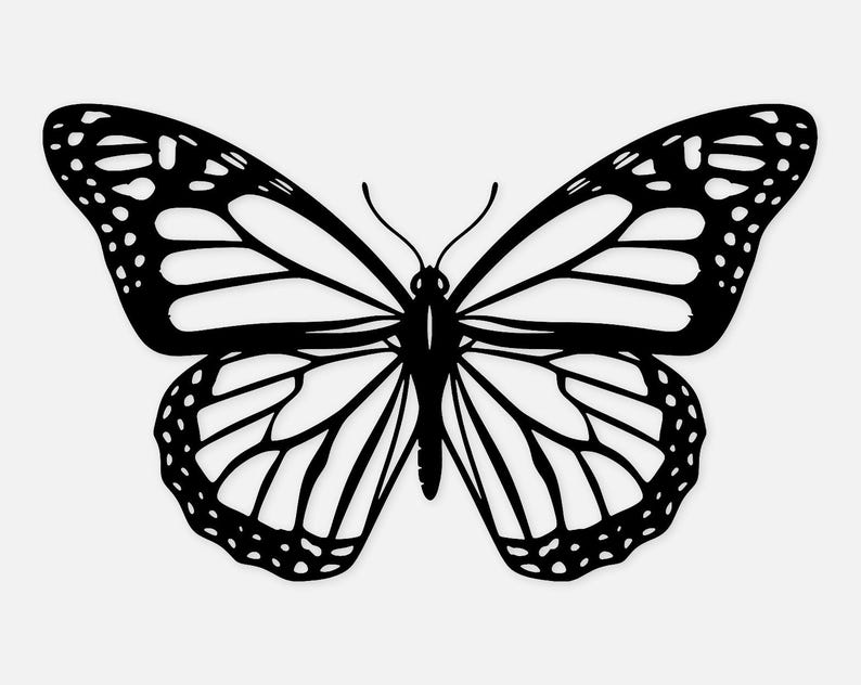 Monarch Butterfly Svg Png: Elegant Cut File for Cricut - Etsy
