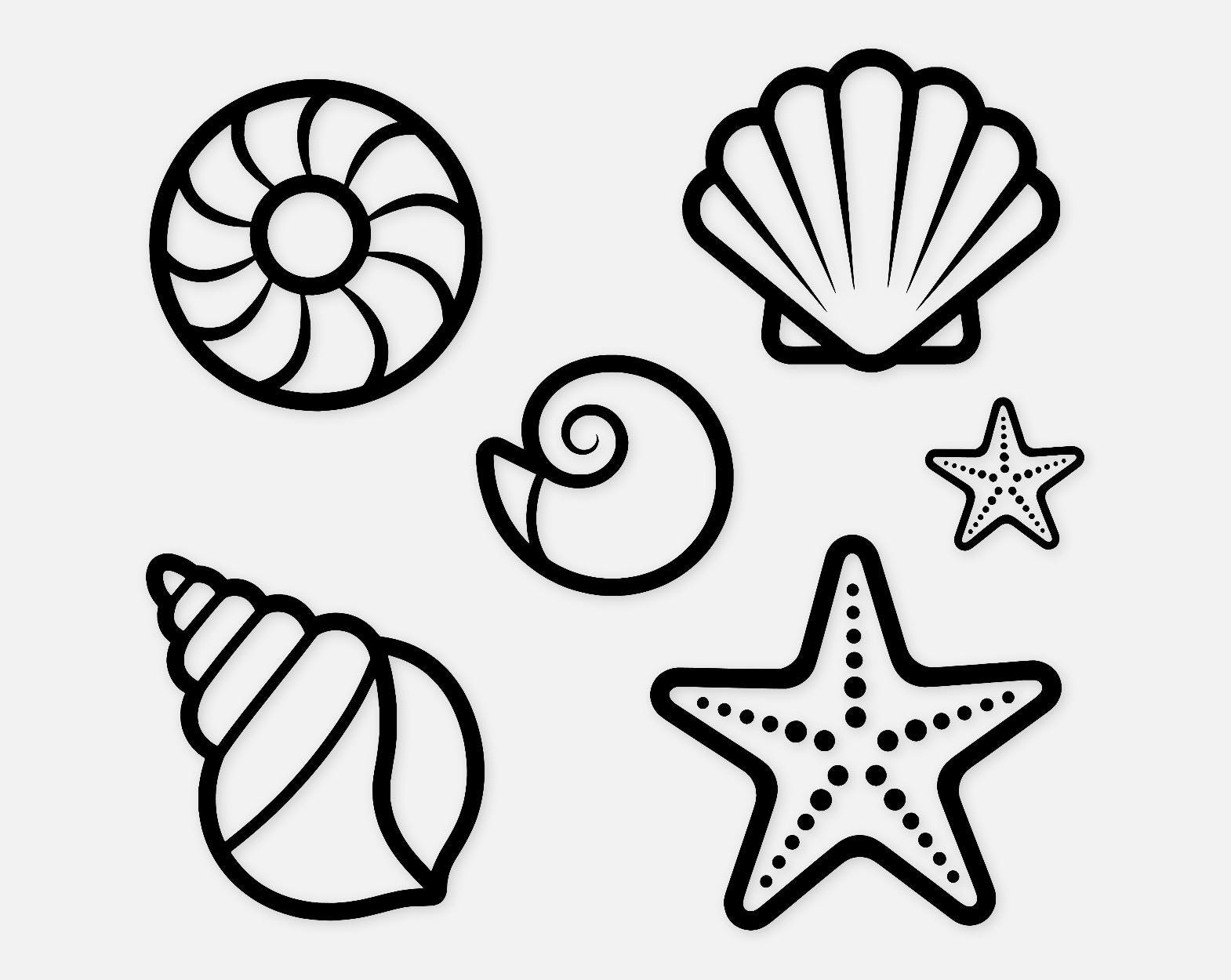 Seashell Collection Svg Png: Cut Ready Digital Design for Cricut ...