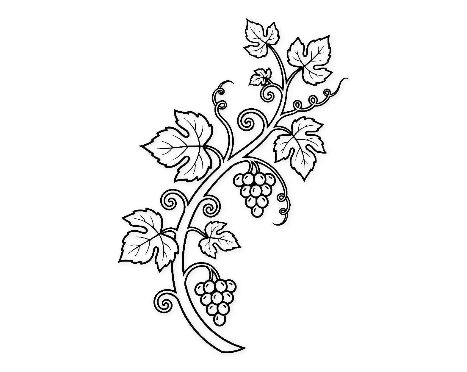 Vine and Grapes Svg Png: Bold Design for Spiritual Connection - Etsy