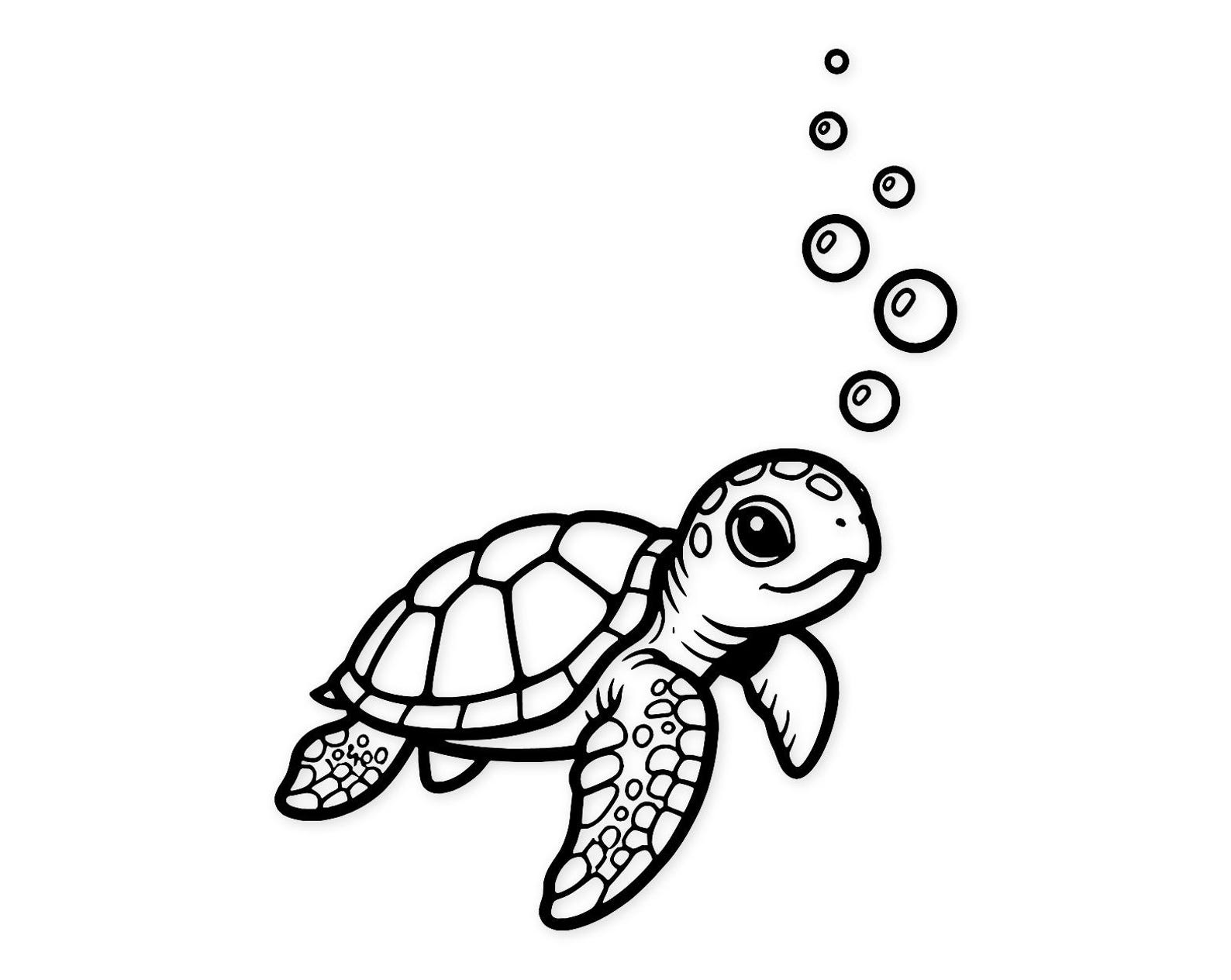 Turtle Trails Svg Png: Cut Ready Digital Design for Cricut Silhouette ...