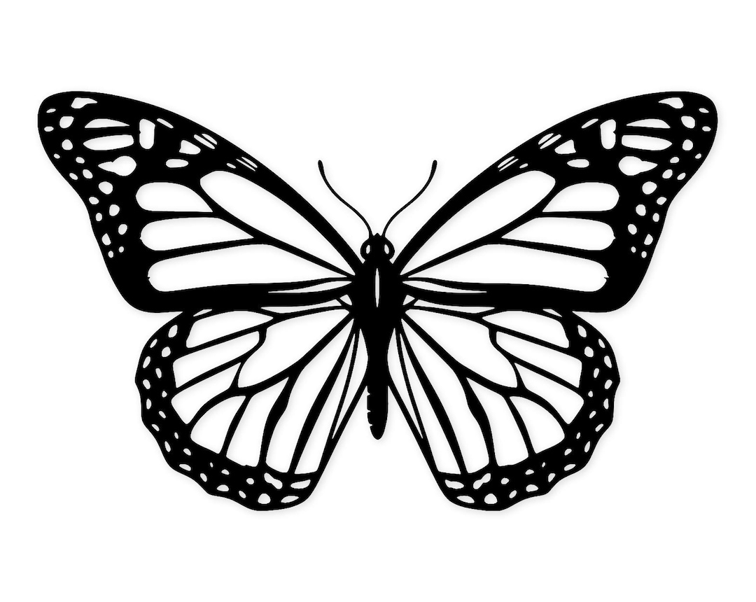 Monarch Butterfly Svg Png: Elegant Cut File for Cricut - Etsy