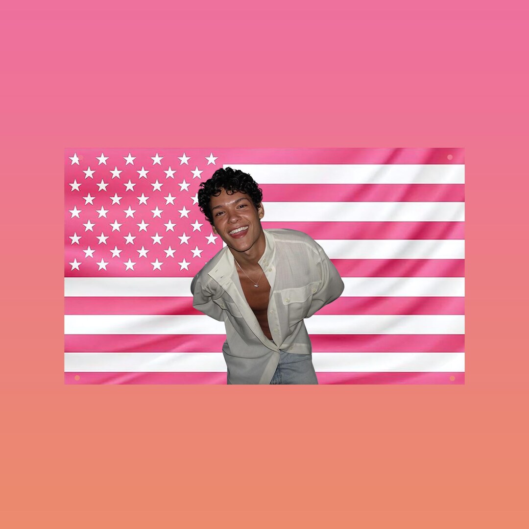 Omar Rudberg Pink American Flag Tapestry – Omar Rudberg Flag, Hot Guy ...
