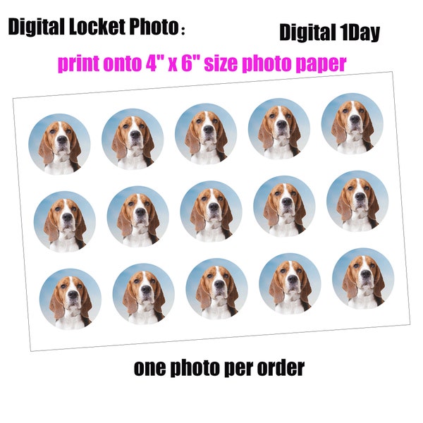 Round Photo Prints - Etsy