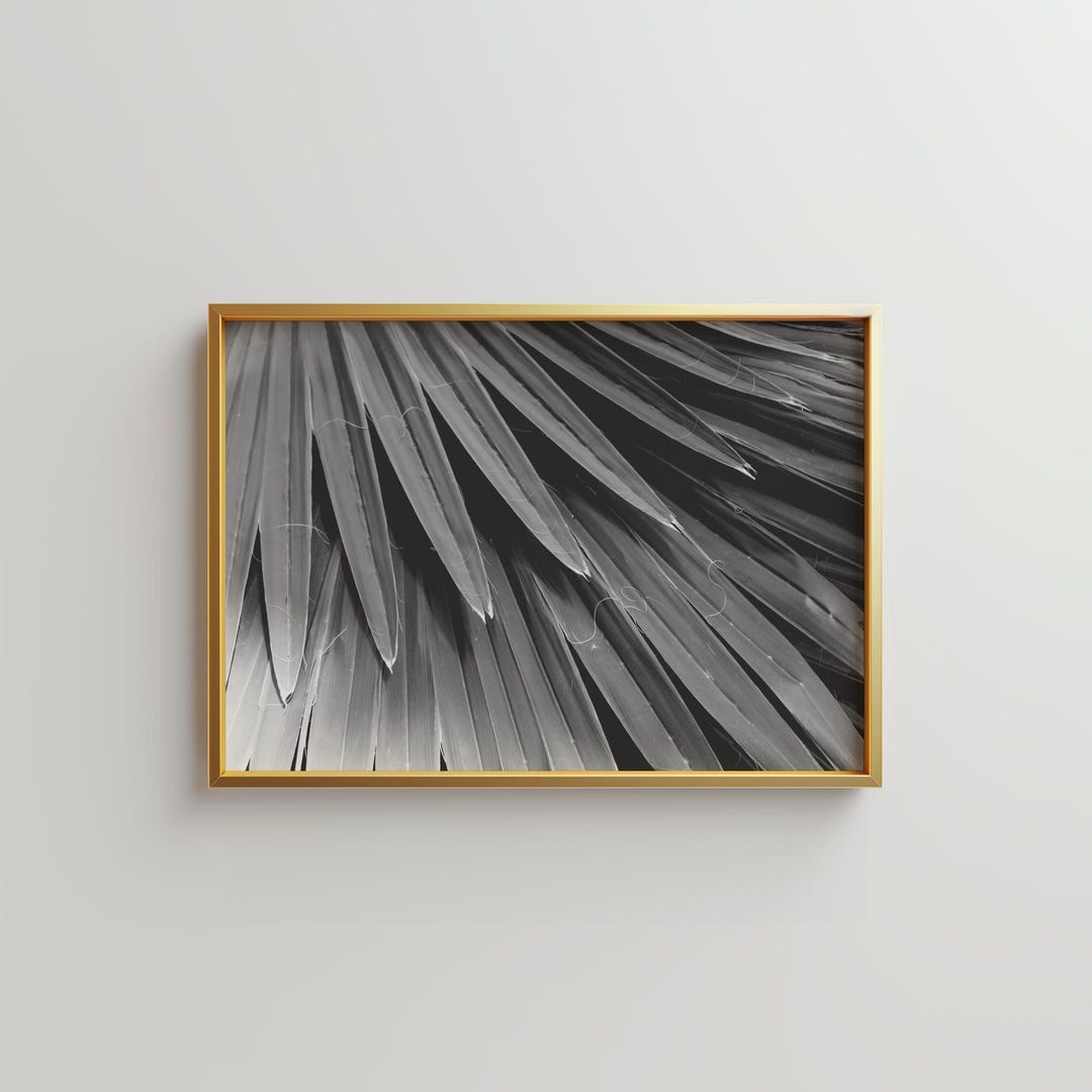 Feather Fiona Photography Print: Black and White Tropical Plant Art ...