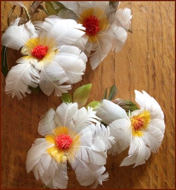 vintage antique edwardian feathers - Gem