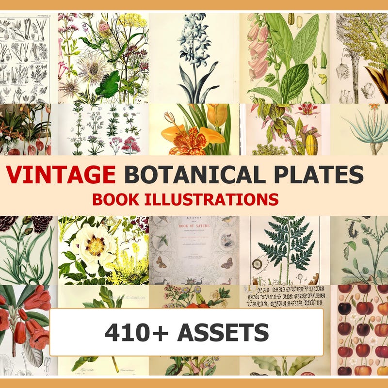 Botanical Book Plate - Etsy