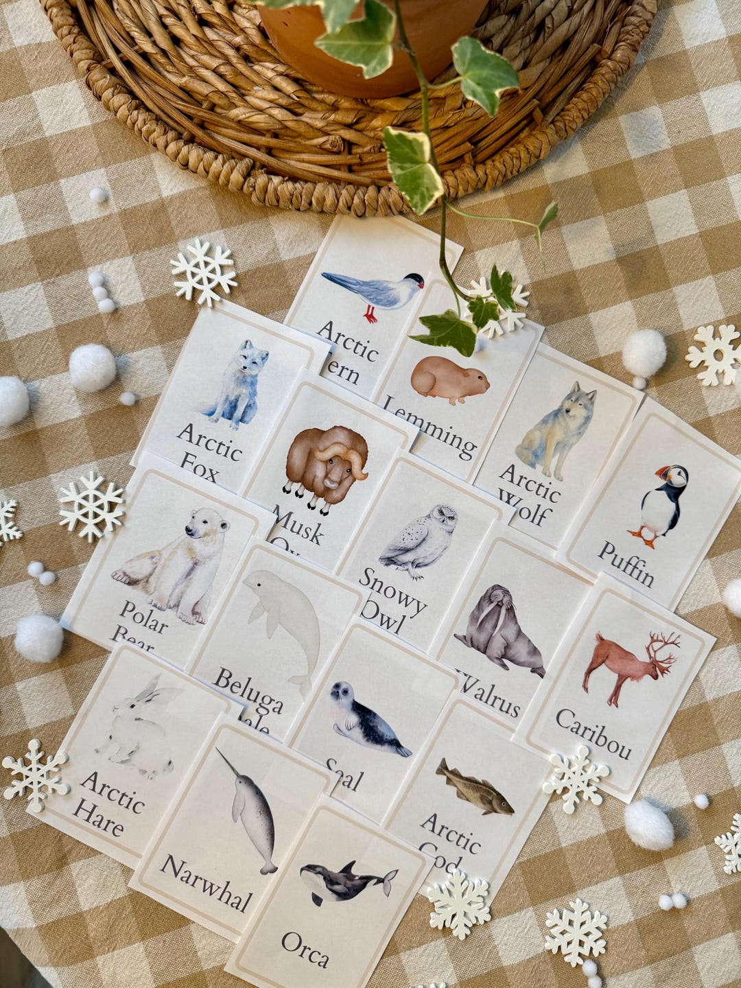 Arctic Animal Activity Cards - Etsy