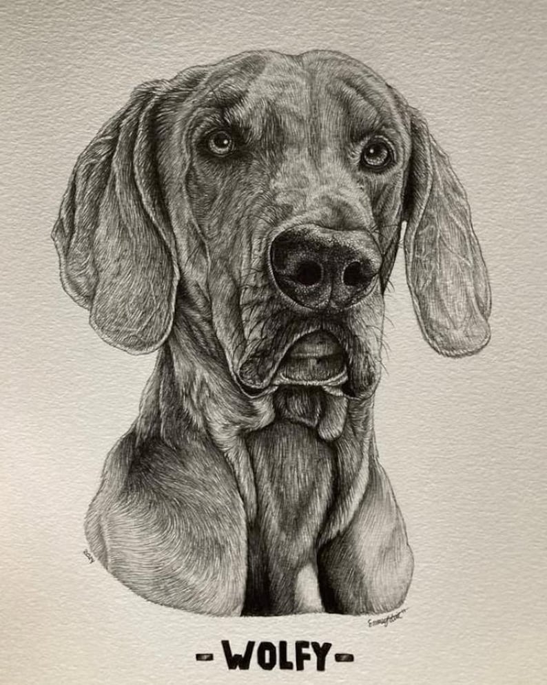 Custom HAND DRAWN Graphite Pet Portraits - Etsy