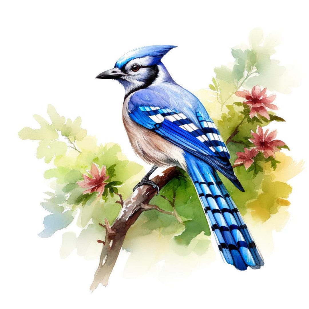 Blue Jay Bird Fabric Panel 4 - Etsy