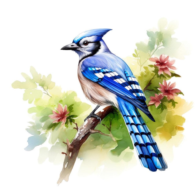 Blue Jay Bird Fabric Panel 4 - Etsy