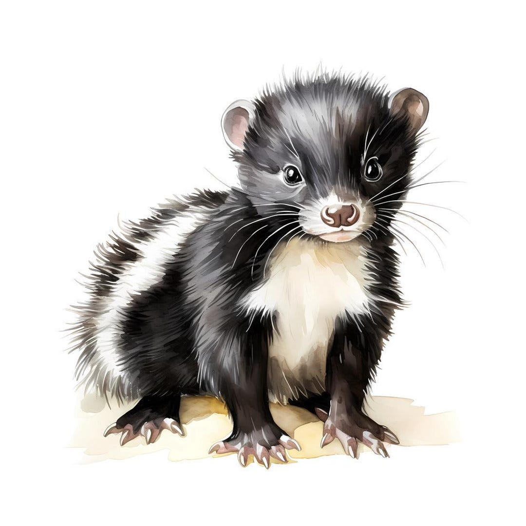 Woodland Baby Skunk 1 Fabric Panel - Etsy