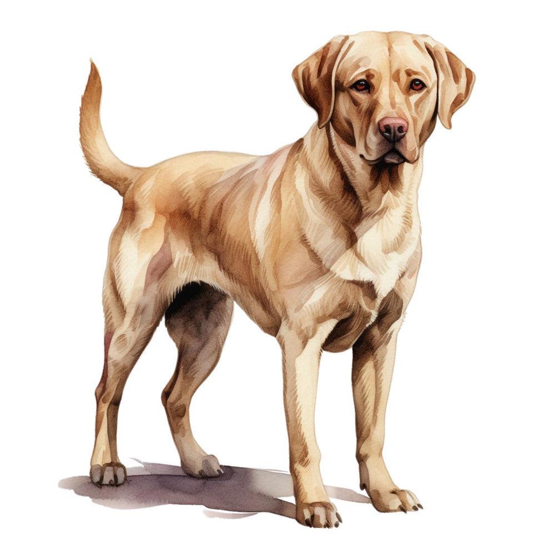 Watercolor Labrador Fabric Panel 36 - Etsy