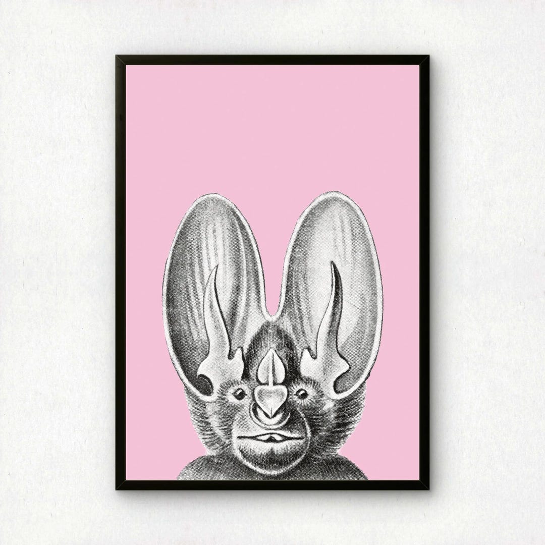 Ernst Haeckel Remixed Art Print 36: Bat | Modern Art Nouveau | Premium ...
