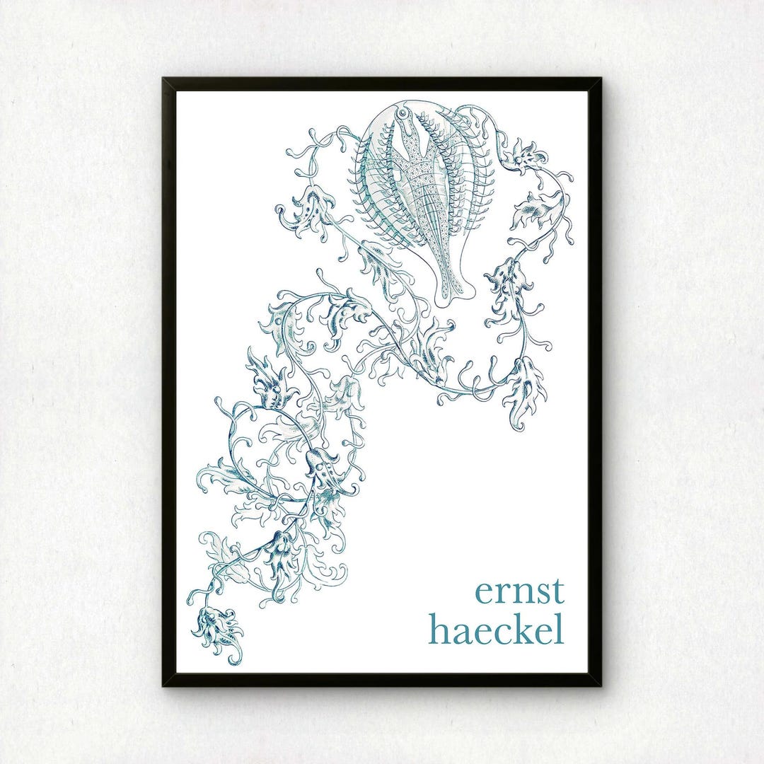Ernst Haeckel Remixed Art Print 25 | Modern Design | Geometric Wall Art ...